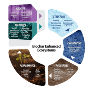 Biochar Center For Renewable Carbon
